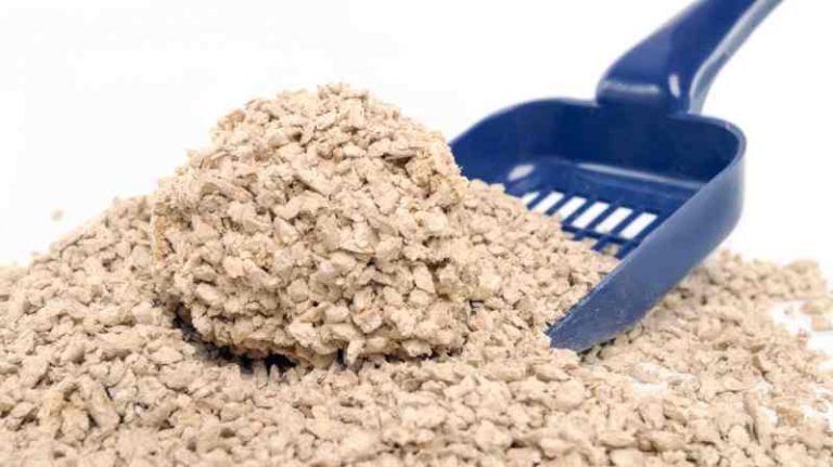 Biodegradable cat litter, tight clumps, 100% natural plant fibres ...